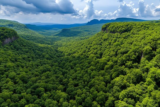 "Natural Boundary"-Bilder: Stock-Fotos & -Videos. | Adobe Stock