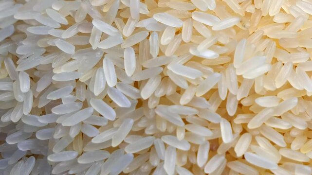 "Uncooked Rice" Images – Browse 746 Stock Photos, Vectors, and Video ...