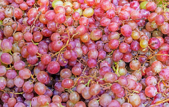 "Grape Background" Images – Browse 1,091 Stock Photos, Vectors, and ...