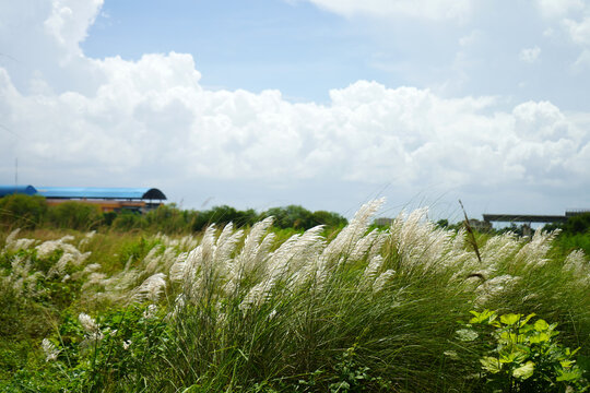 Kashful Images – Browse 412 Stock Photos, Vectors, and Video | Adobe Stock