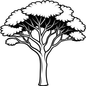 Mahogany Tree Cartoon
