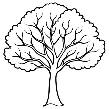 「Elm Tree Outline」の写真素材 | 1,851件の無料イラスト画像 | Adobe Stock