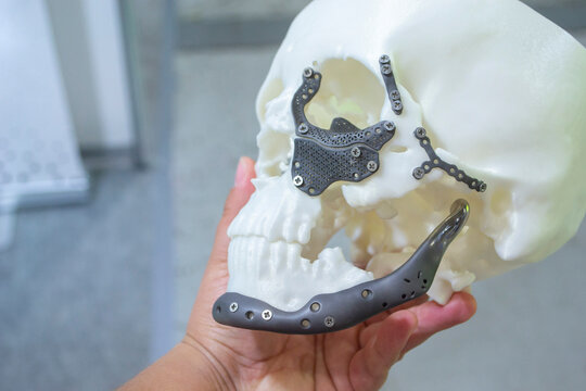 「Proto-Human」の写真素材 | 4,015件の無料イラスト画像 | Adobe Stock