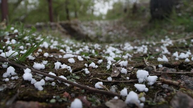 "Snow Pellets" Images – Browse 2,126 Stock Photos, Vectors, and Video ...