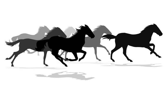 Horse Running Animation Images – Browse 2,270 Stock Photos, Vectors, and Video | Adobe Stock
