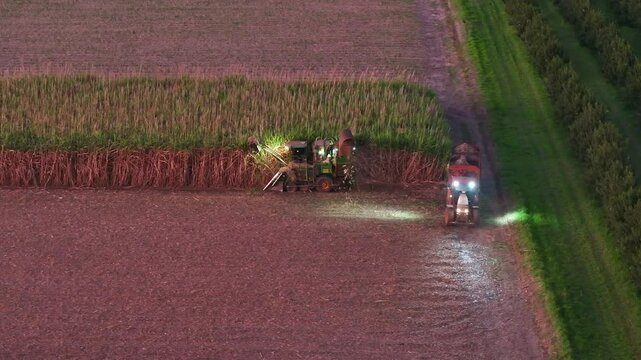 Cane Harvester Images – Browse 1,400 Stock Photos, Vectors, and Video ...
