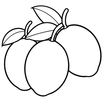 Mango Line Drawing Images – Browse 8,192 Stock Photos, Vectors, and ...
