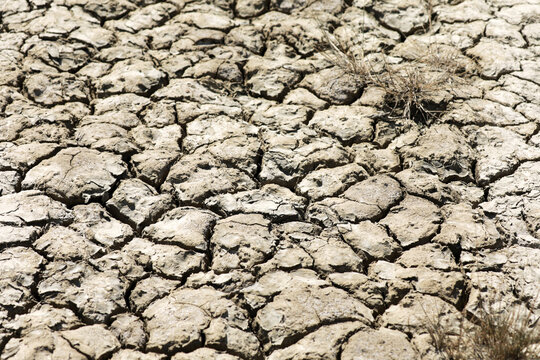 "Dried Out" Images – Browse 7,405 Stock Photos, Vectors, and Video ...