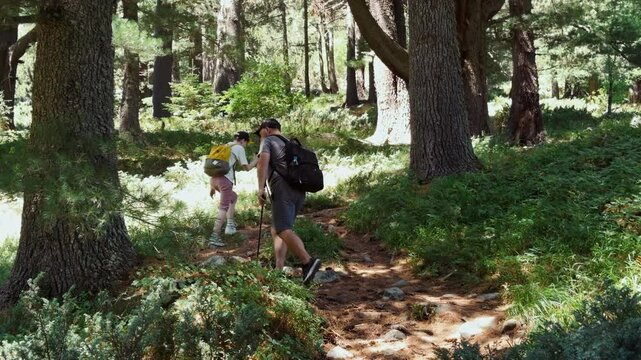 Tree Path Logo Images – Browse 23,333 Stock Photos, Vectors, and Video ...