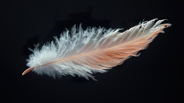 "Fluffy Feather" Images – Browse 227 Stock Photos, Vectors, and Video ...