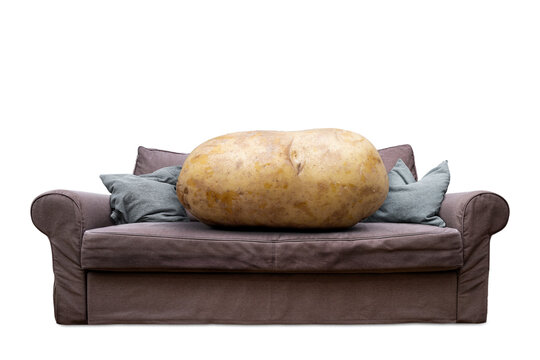 couch potato example