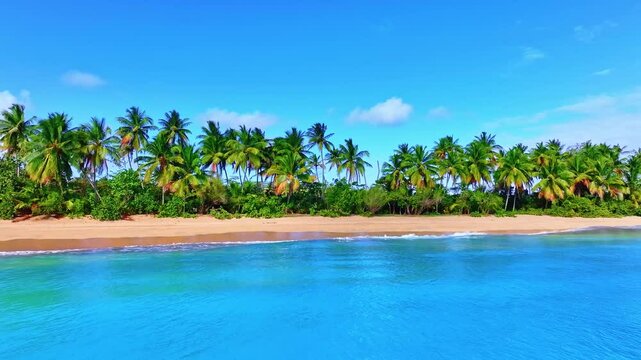 "Seashore Background" Images – Browse 761 Stock Photos, Vectors, and ...