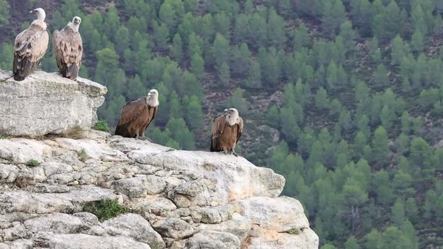 Saliente Images – Browse 257 Stock Photos, Vectors, and Video | Adobe Stock