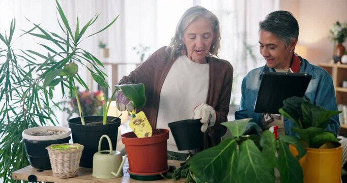 Planting Instructions Images – Browse 441,555 Stock Photos, Vectors ...
