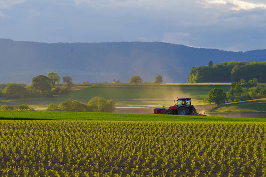 "Cultivated Land" Images – Browse 3,012,477 Stock Photos, Vectors, and ...