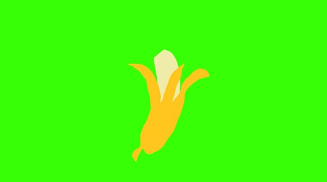 Imágenes de "Fruit Loops": descubre bancos de fotos, ilustraciones ...