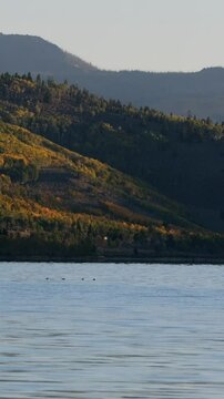 Gloat Images – Browse 2,357 Stock Photos, Vectors, and Video | Adobe Stock