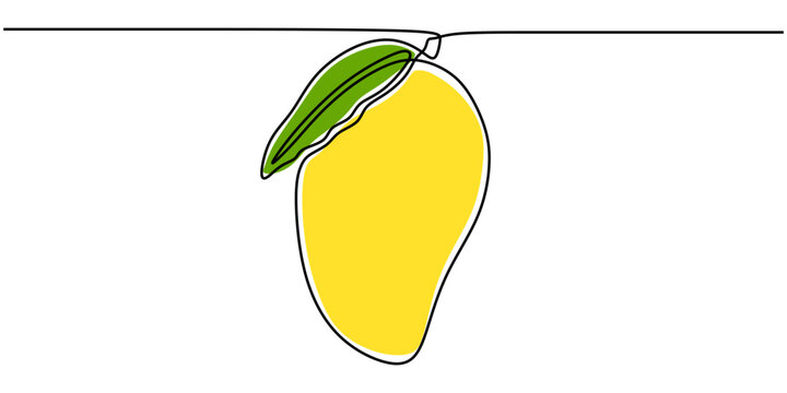 Mango Line Drawing Images – Browse 8,192 Stock Photos, Vectors, and ...