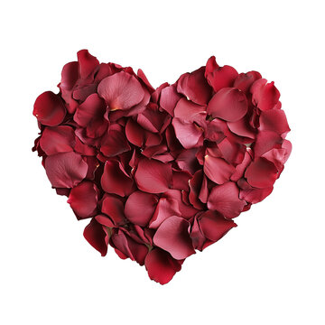 MicroTee photos, images, assets | Adobe Stock