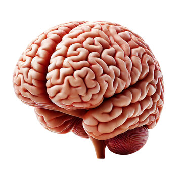 Autopsy-Bilder: Stock-Fotos & -Videos. | Adobe Stock