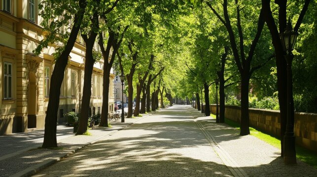 "Shady Images – Browse 305,609 Stock Photos, Vectors, and Video | Adobe ...