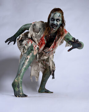 faestock photos, images, assets | Adobe Stock