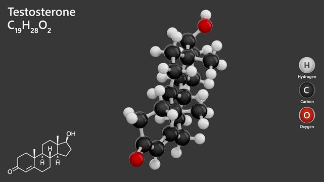รูปภาพAnabolics – เลือกดูภาพถ่ายสต็อก เวกเตอร์ และวิดีโอ16,440 | Adobe ...