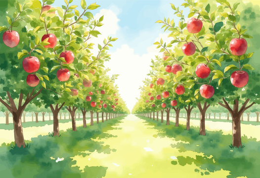 Apple Orchard Clipart