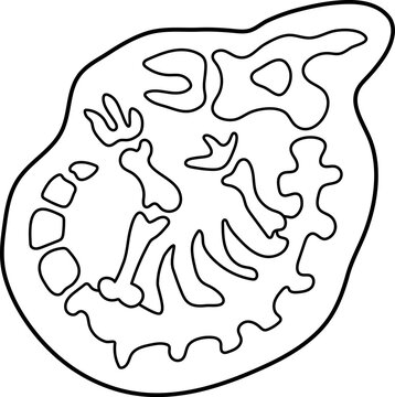 Cartoon Fossils Underground Images – Browse 1,324 Stock Photos, Vectors ...