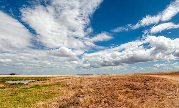 Horizon Over Land"」の写真素材 | 59,716件の無料イラスト画像 | Adobe Stock