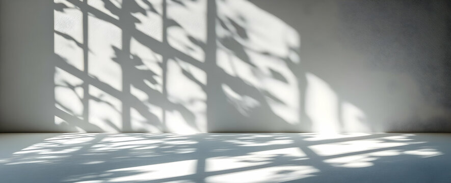 "Shadow Background" Images – Browse 4,326 Stock Photos, Vectors, and ...