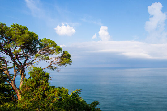 "Black Sea" Images – Browse 102,850 Stock Photos, Vectors, and Video ...
