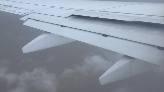 Wing Dynamics Images – Browse 316,494 Stock Photos, Vectors, and Video ...