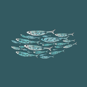 "Shoaling Fish" Images – Browse 40,000 Stock Photos, Vectors, and Video ...