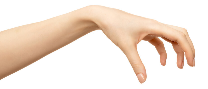 Womans Hand Reaching Up