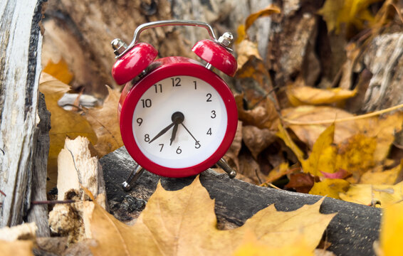 "Standard Time" Images – Browse 29,800 Stock Photos, Vectors, and Video ...