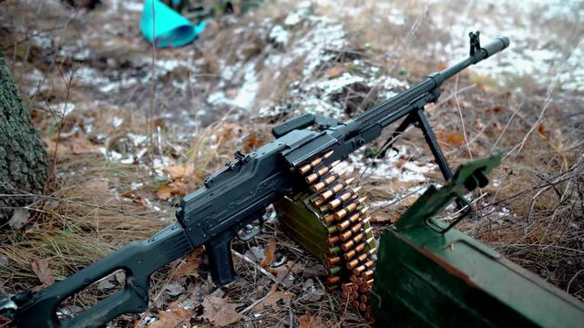 รูปภาพLmg – เลือกดูภาพถ่ายสต็อก เวกเตอร์ และวิดีโอ913 | Adobe Stock