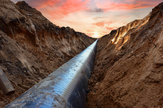 The Environment stock photos, royalty-free images, vectors, video ...