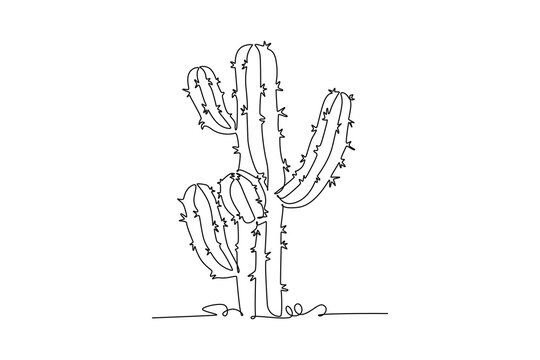 Cactus Line Drawing Images – Browse 43,024 Stock Photos, Vectors, and ...