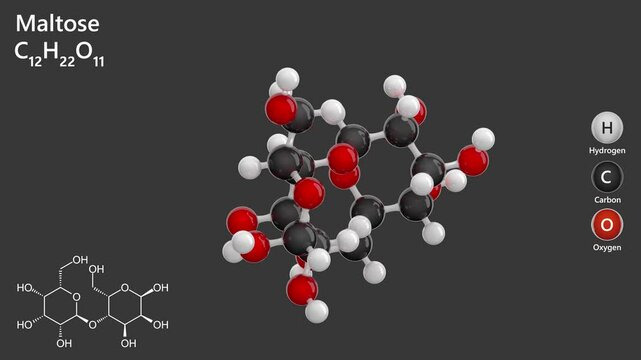 Maltose 이미지 – 찾아보기 1,109 스톡 사진, 벡터 및 비디오 | Adobe Stock