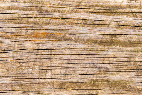 "Timber Texture" Images – Browse 7,715 Stock Photos, Vectors, and Video ...