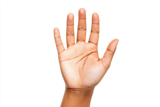 "Showing Hand" Images – Browse 843 Stock Photos, Vectors, and Video ...