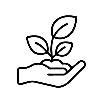 「植物 芽」の写真素材 | 4,862,580件の無料イラスト画像 | Adobe Stock