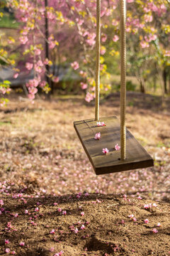 Delicadeza Images – Browse 11,073 Stock Photos, Vectors, and Video ...