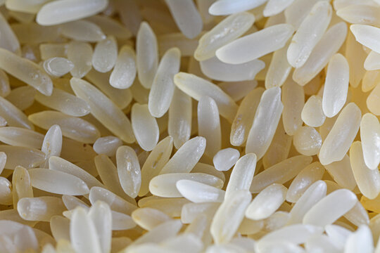 "Rice Background" Images – Browse 2,202 Stock Photos, Vectors, and ...