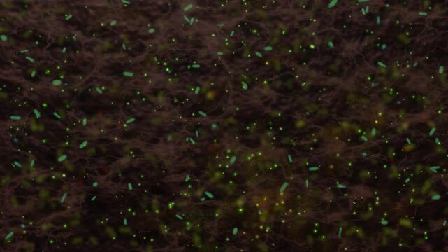 Soil Microbes Images – Browse 785,008 Stock Photos, Vectors, and Video ...