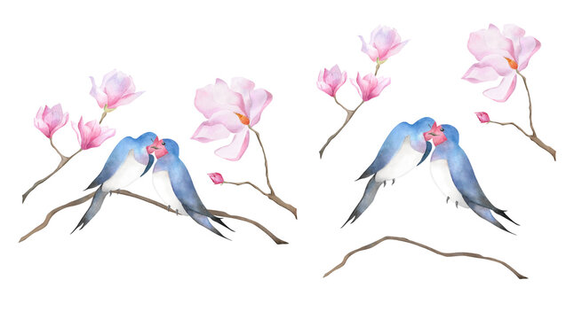 "Martlet - Images et vidéos libres de droits | Adobe Stock