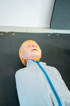 "Training Dummy" Images – Browse 209 Stock Photos, Vectors, and Video ...