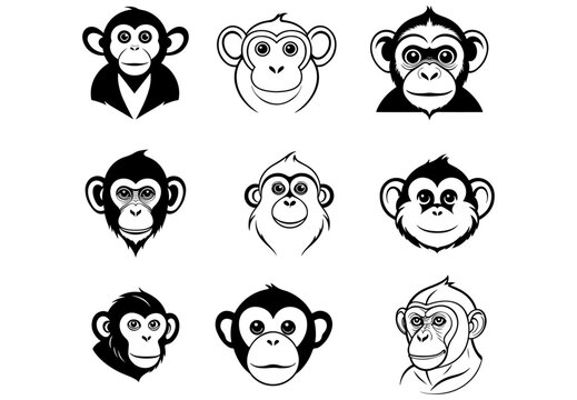 Monkey Face Images – Browse 335,484 Stock Photos, Vectors, and Video ...