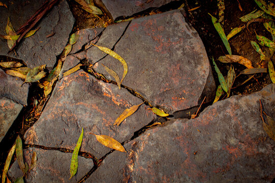 "El-Bilder: Stock-Fotos & -Videos. | Adobe Stock